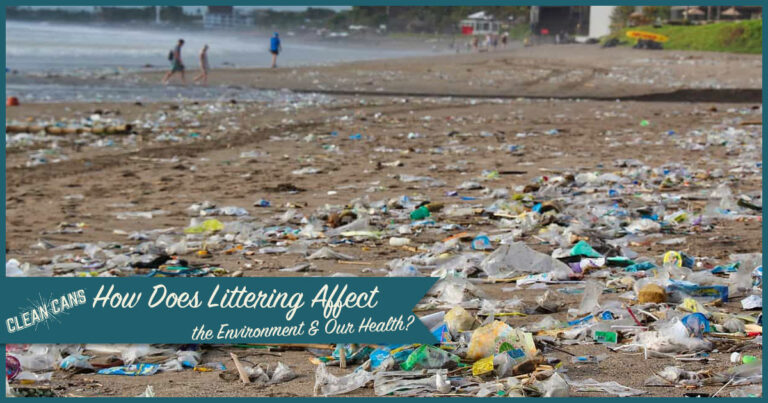 How Does Littering Affect the Environment & Our Health? - Clean Cans