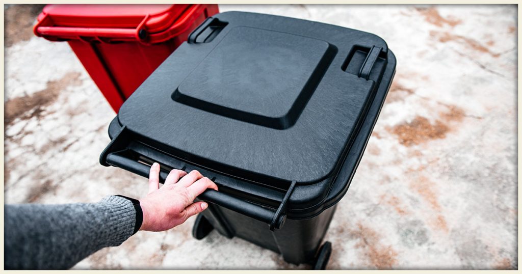 The Unexpected Health Benefits of a Professionally Cleaned Trash Can ...