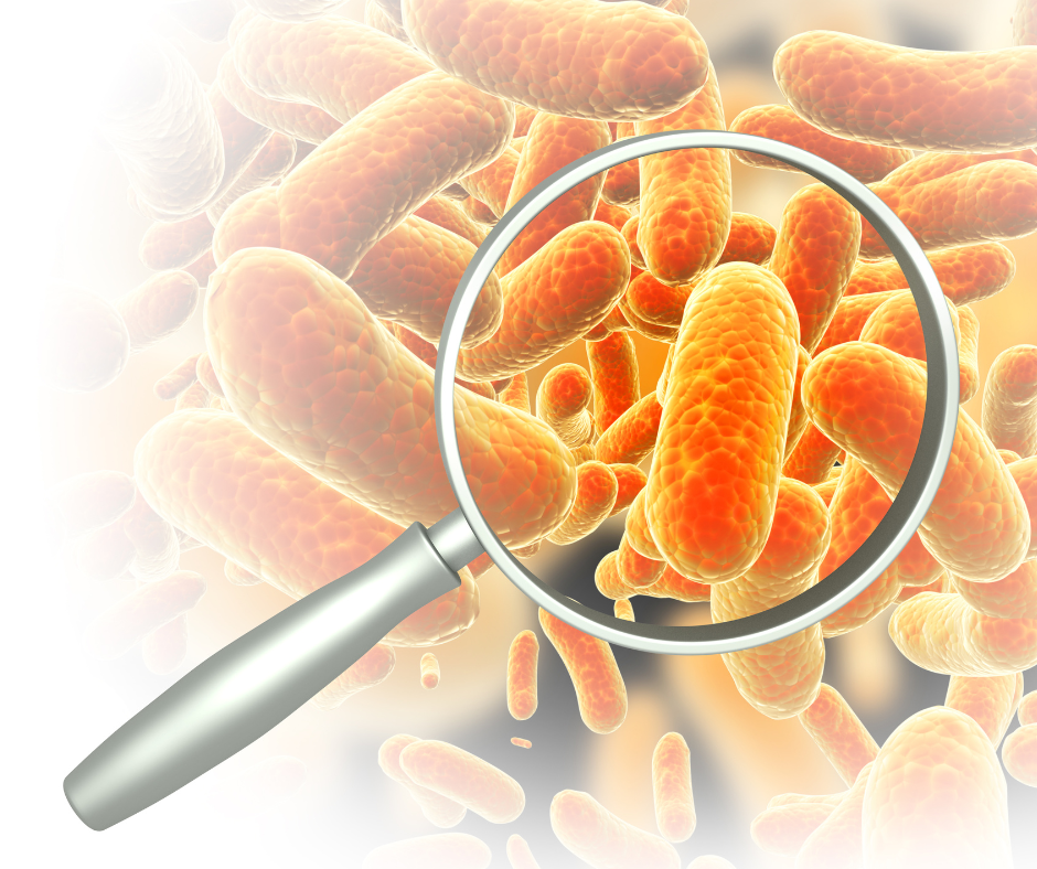 Why it's Important to Keep Your Recycling Bins Clean - Clean Cans