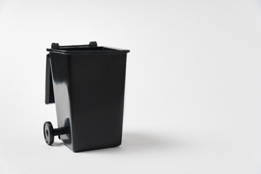 Mr. Clean Can's Guide to Keeping Pests Out of Your Trash Cans - Clean Cans