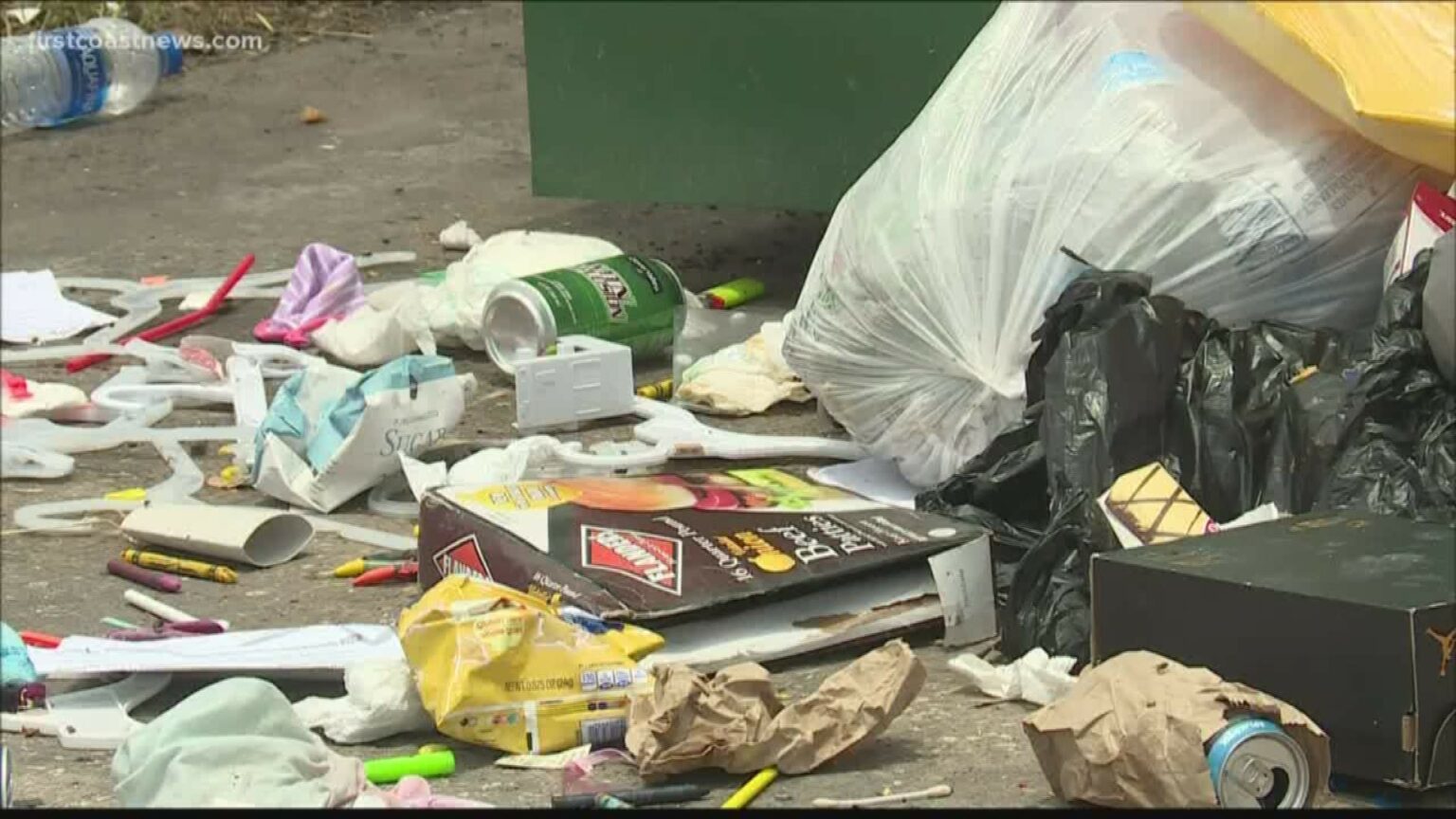 The Hidden Dangers Lurking in Your Trash Can - Clean Cans