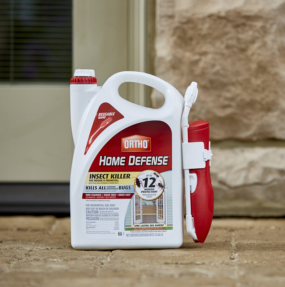 How to Keep Bugs Out of Your Home - Clean Cans