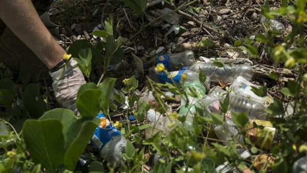 How Does Littering Affect the Environment & Our Health? - Clean Cans
