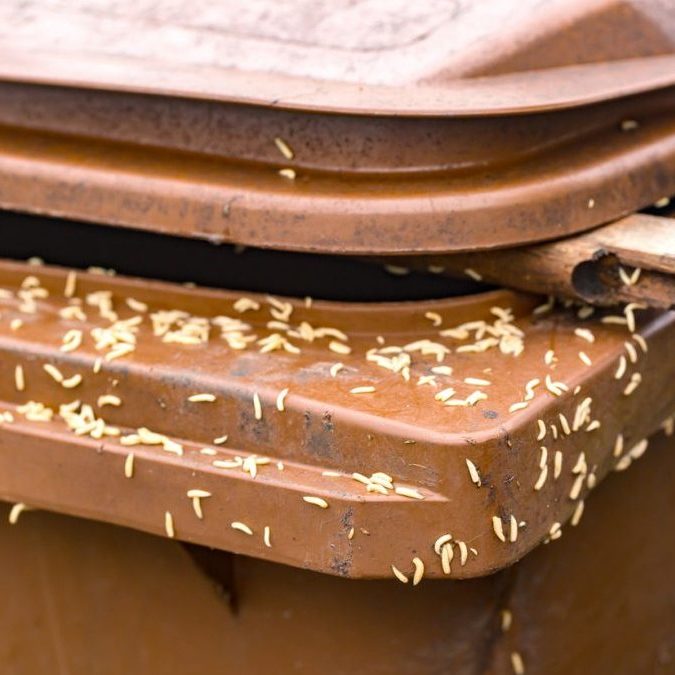 How a Clean Trash Can Makes Your Life Easier - Clean Cans