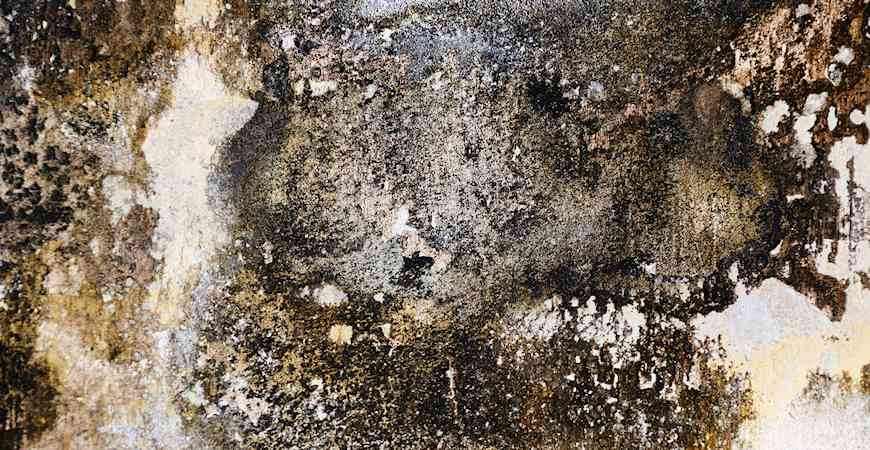 Four Dangers of Having a Dirty Trash Can - Clean Cans