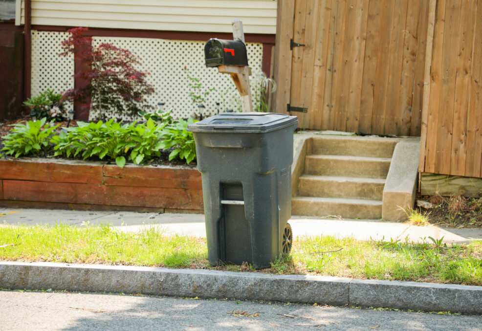 How to Prepare Your Trash Cans for Central Florida’s Early Spring ...