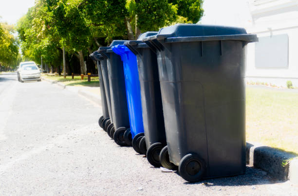 The Benefits of Professional Can Cleaning: Why It's Worth It - Clean Cans