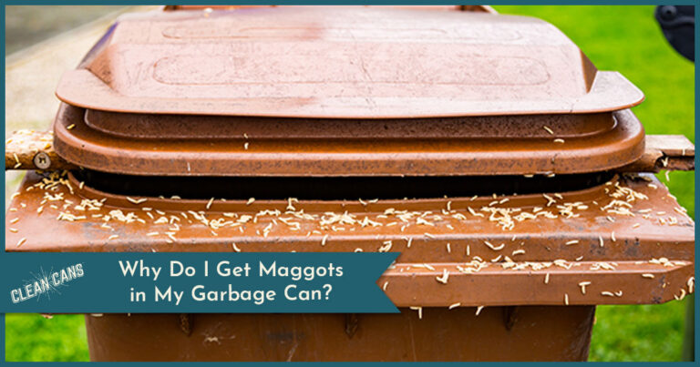 Why Do I Get Maggots in My Garbage Can? - Clean Cans